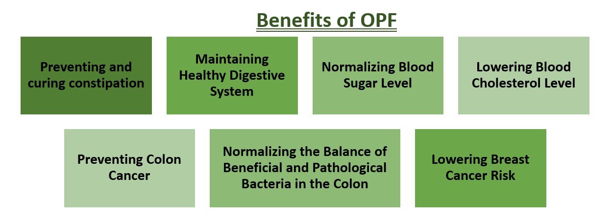 Fiber Series – Alpha Active